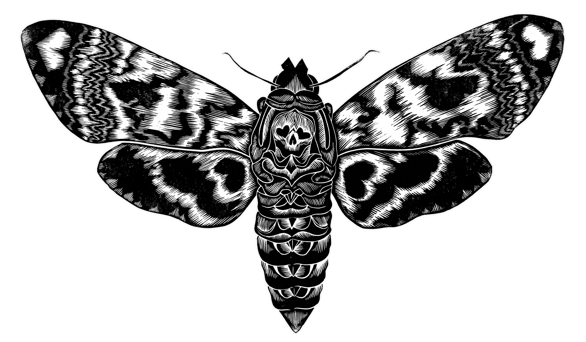 Original Works – A Cosmic Tragedy